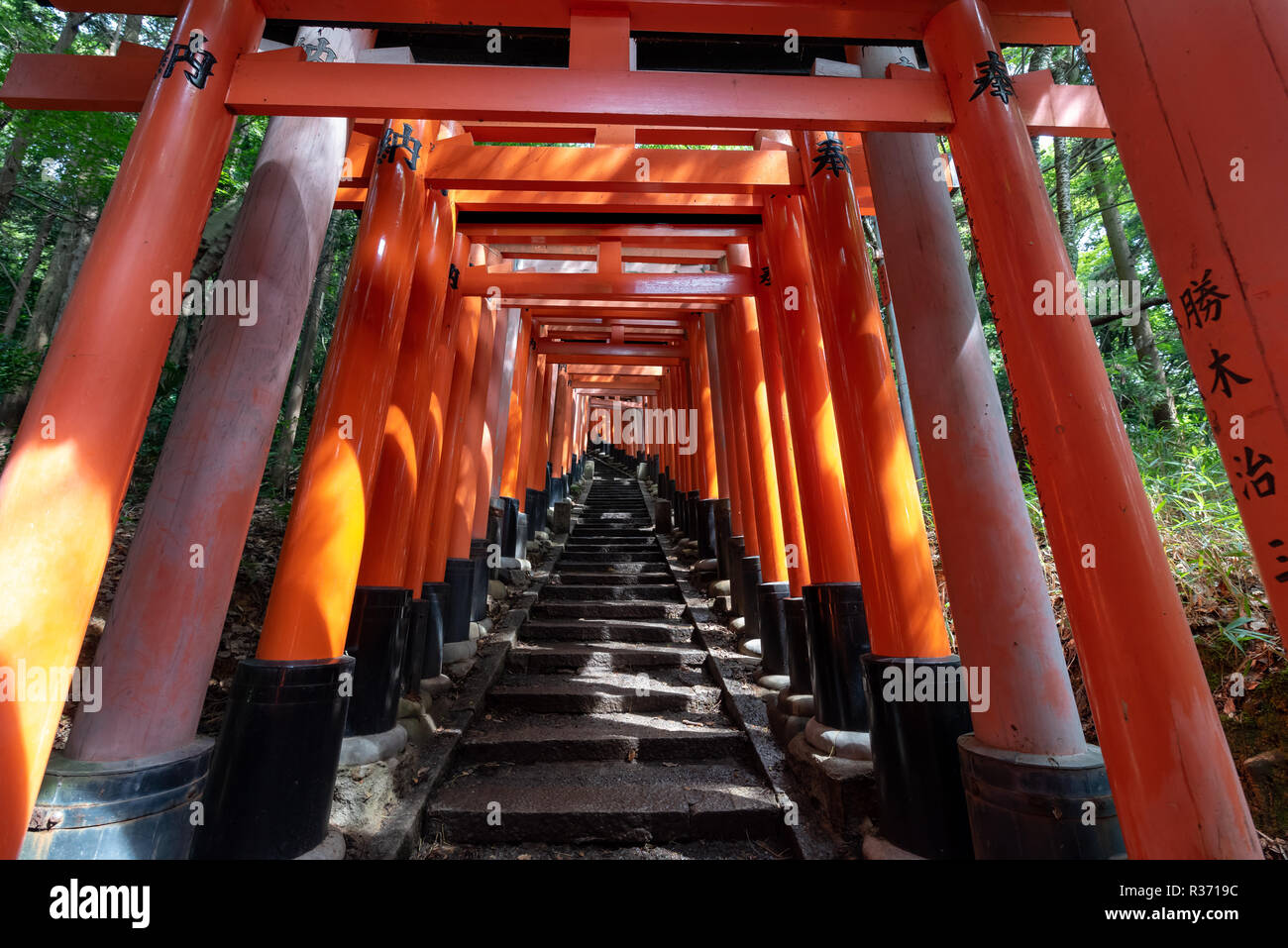 Red Torii gates in Fushimi Inari shrine in Kyoto, Japan Stock Photo - Alamy