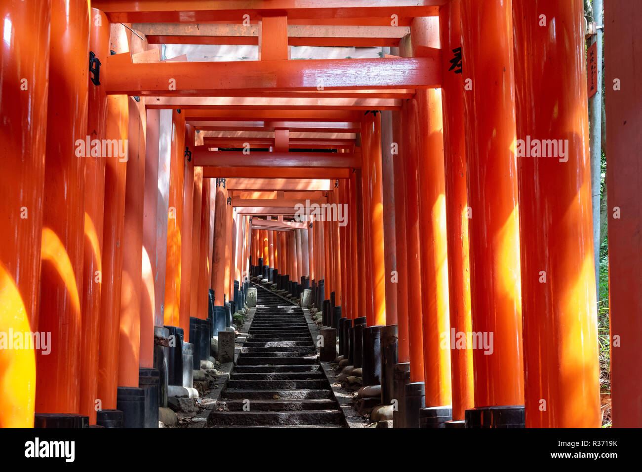 Red Torii gates in Fushimi Inari shrine in Kyoto, Japan Stock Photo - Alamy