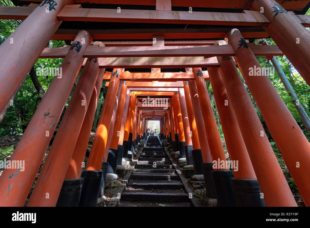 Red Torii gates in Fushimi Inari shrine in Kyoto, Japan Stock Photo - Alamy