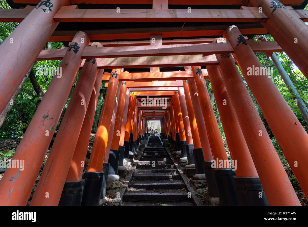Red Torii gates in Fushimi Inari shrine in Kyoto, Japan Stock Photo - Alamy