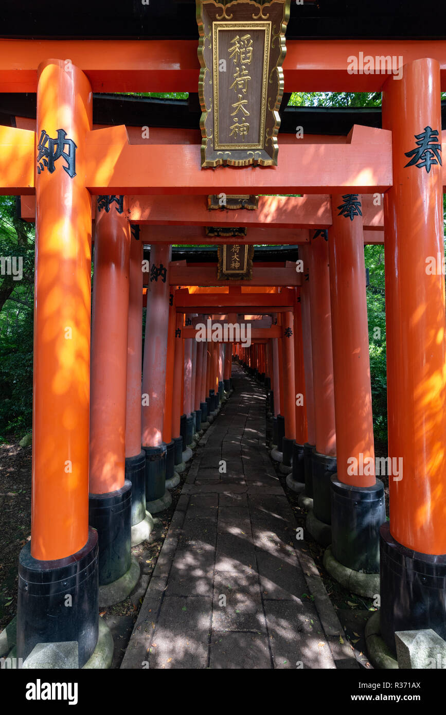 Red Torii gates in Fushimi Inari shrine in Kyoto, Japan Stock Photo - Alamy