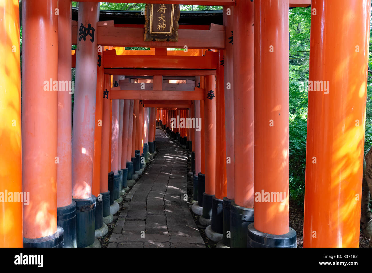 Red Torii gates in Fushimi Inari shrine in Kyoto, Japan Stock Photo - Alamy