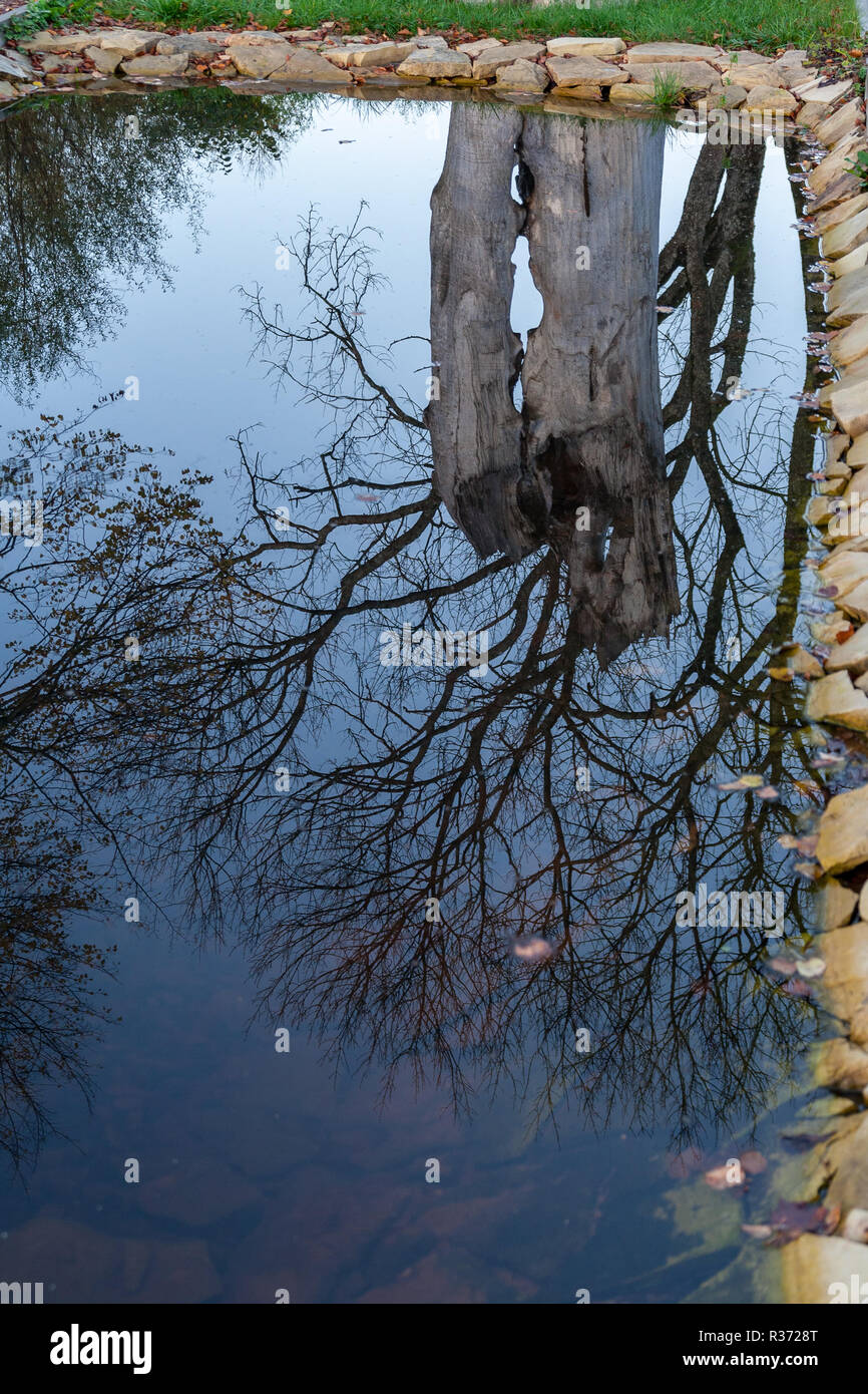 natural body of water. pond with reflections of trees and clouds in ...