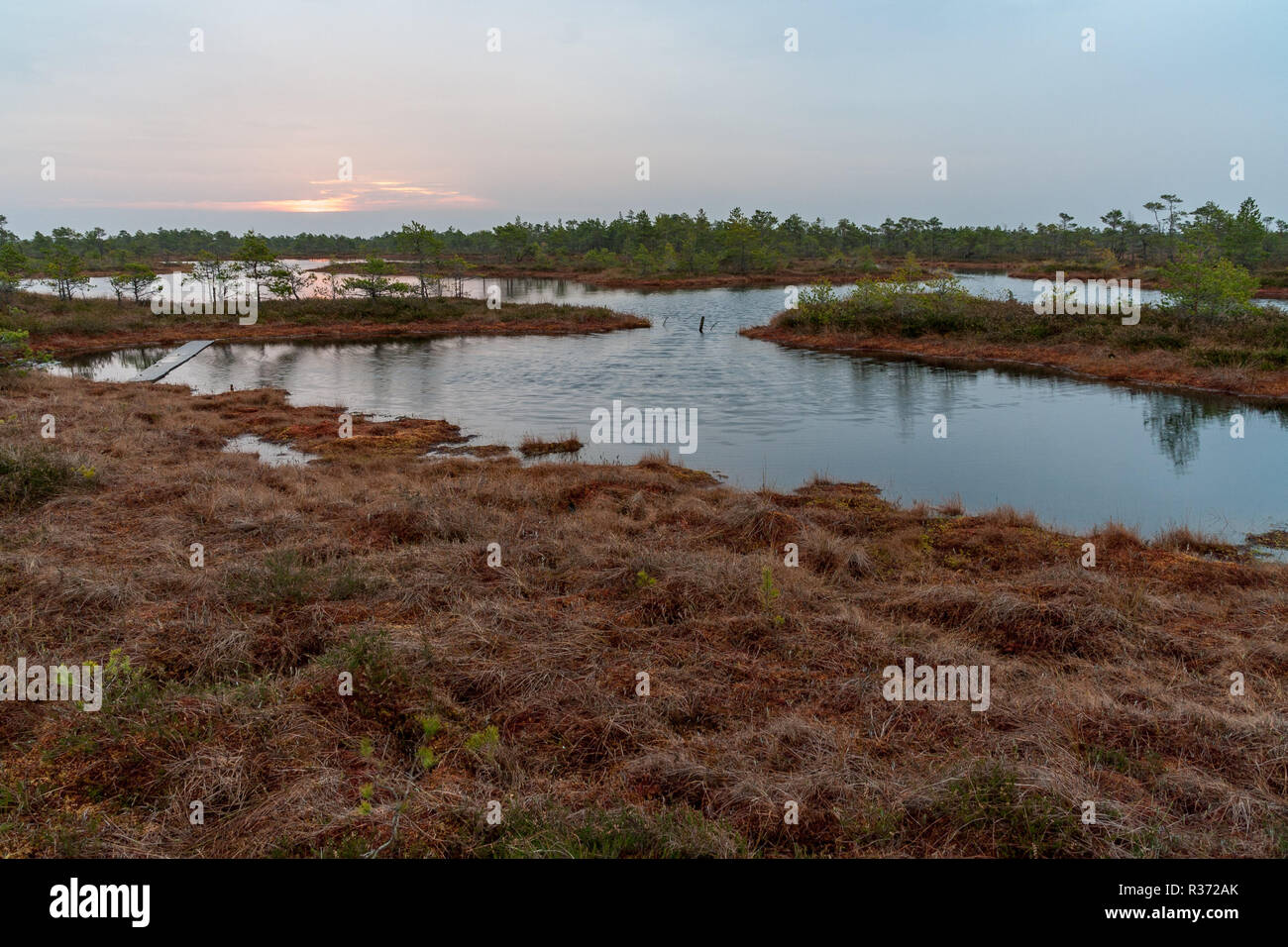 natural body of water. pond with reflections of trees and clouds in ...