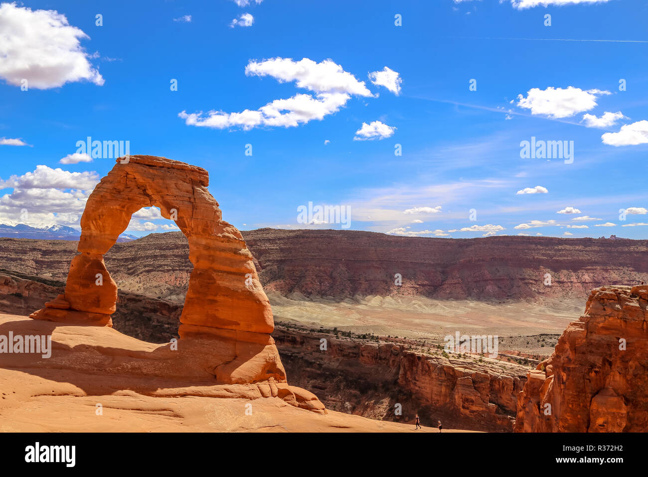 North american desert hi-res stock photography and images - Alamy