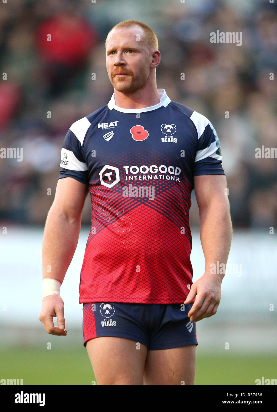 Will Hurrell, Bristol Bears Stock Photo - Alamy