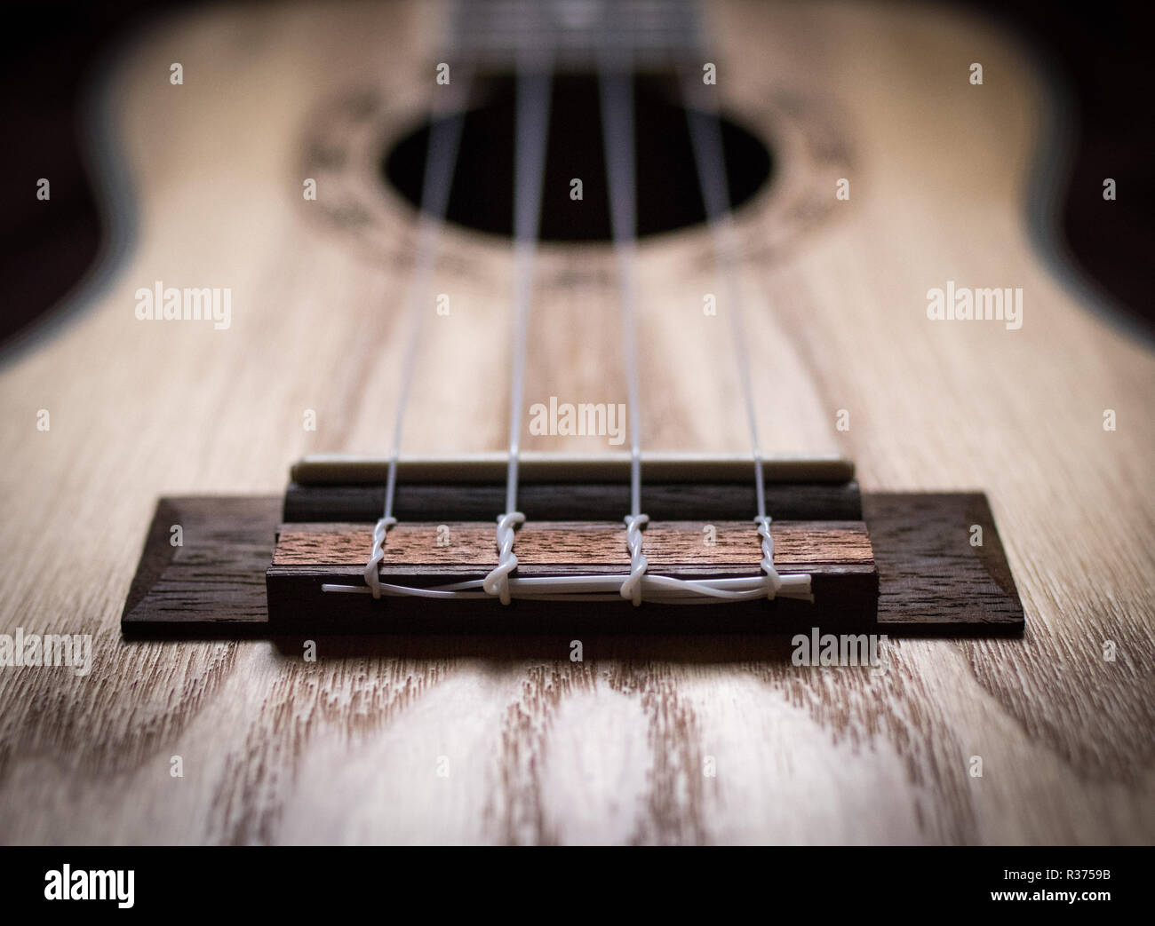 Close up view of the saddle and bridge of a concert ukulele. Image uses ...