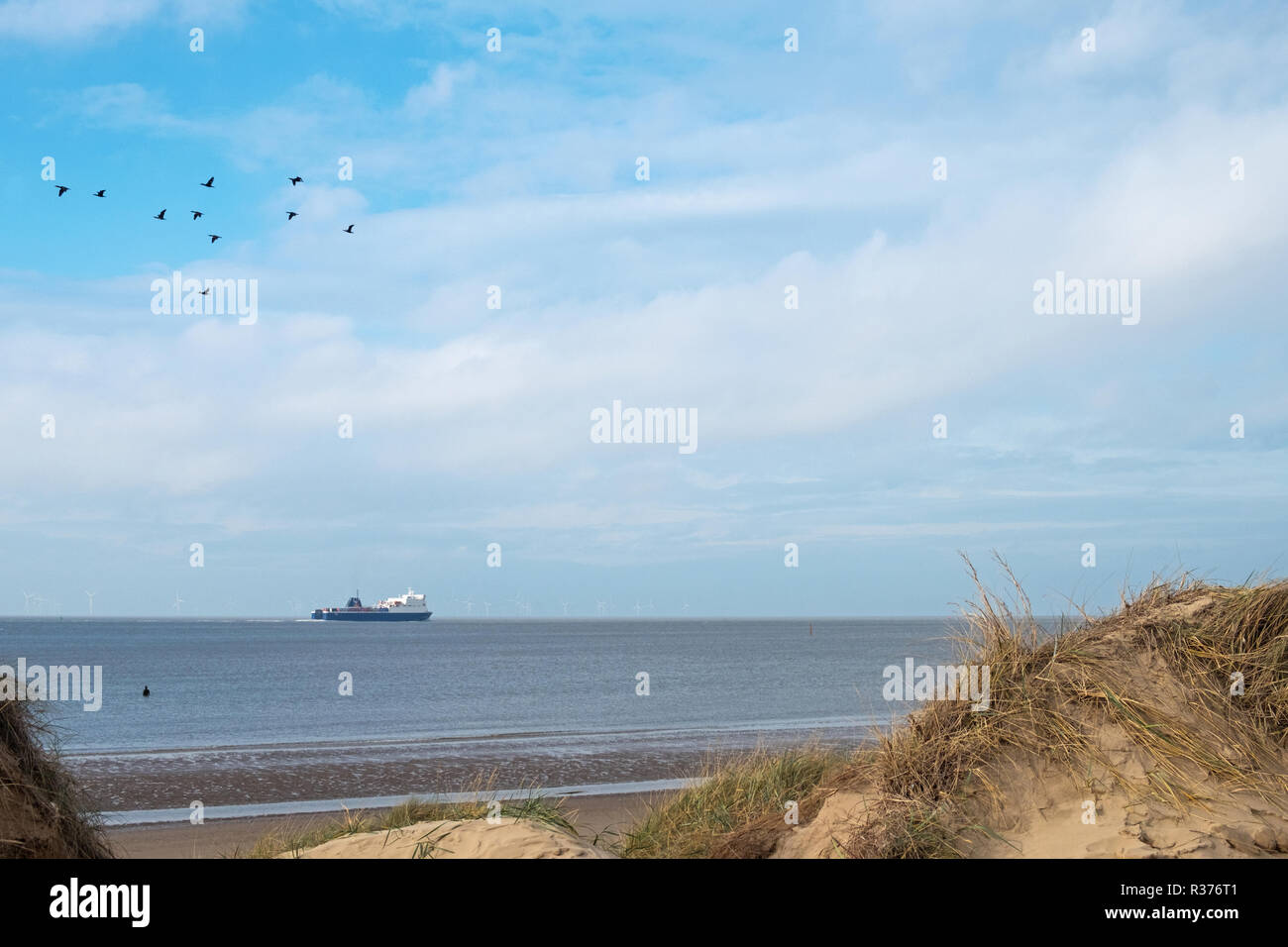 CROSBY, ENGLAND - NOVEMBER 6, 2018: Geese flying over Crosby beach in ...