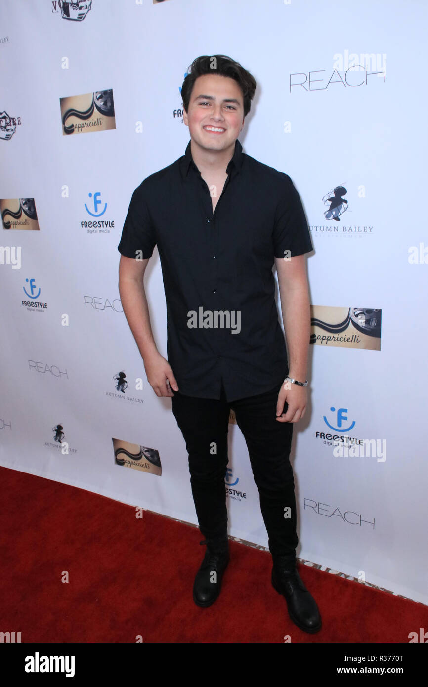Reach premiere in Los Angeles, United States Featuring: Liam Attridge ...