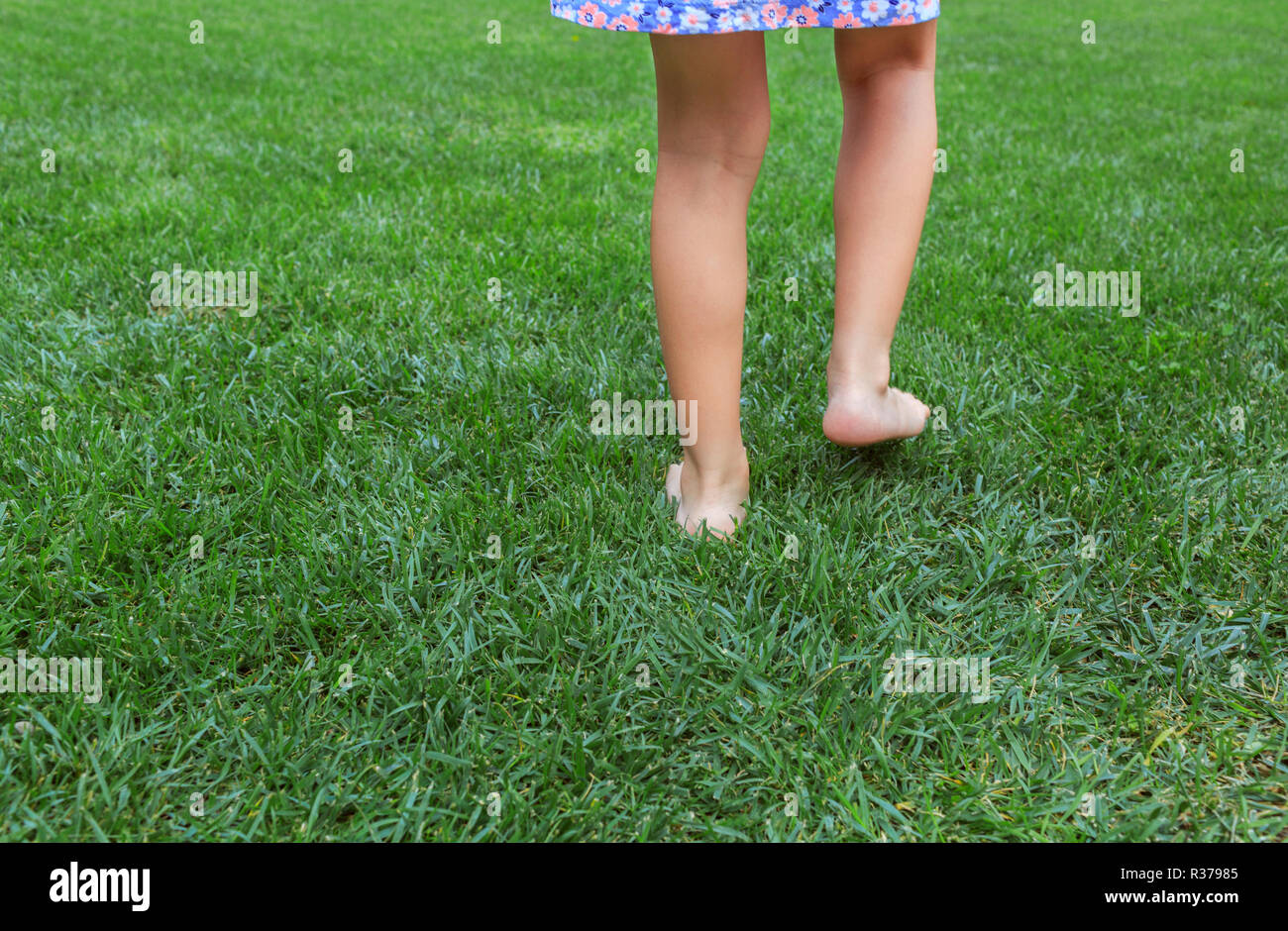 Children's legs running on the summer grass Stock Photo - Alamy