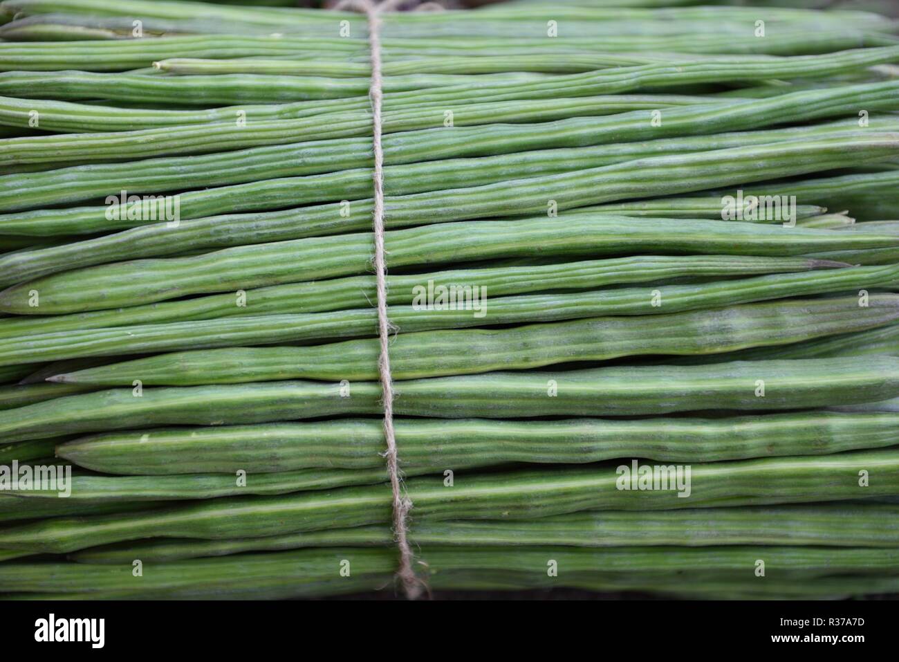 Drumstick Vegetable India High Resolution Stock Photography and Images ...