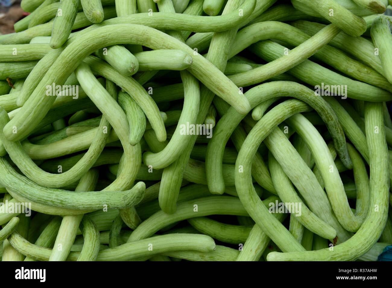 Indian vegetable market yard hi-res stock photography and images - Alamy