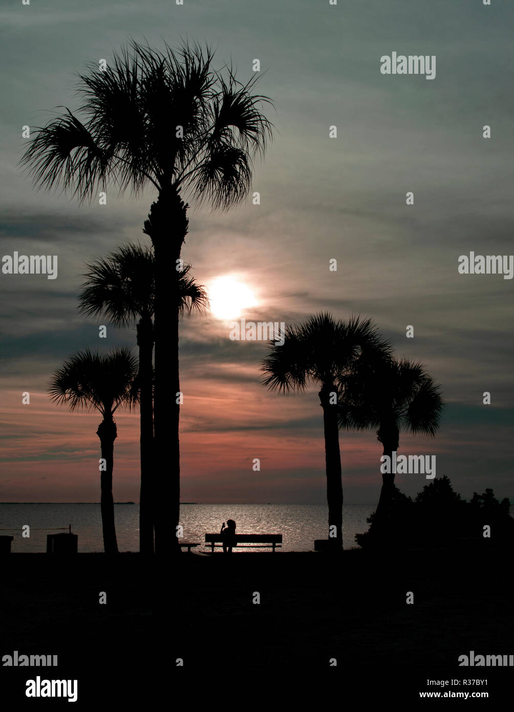 Florida beach selfie hi-res stock photography and images - Alamy