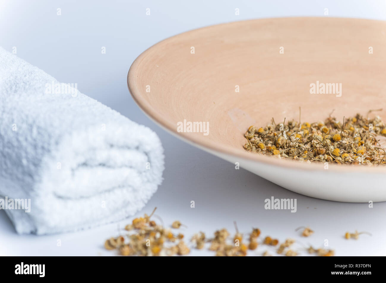 Woman plant infusion hi-res stock photography and images - Alamy