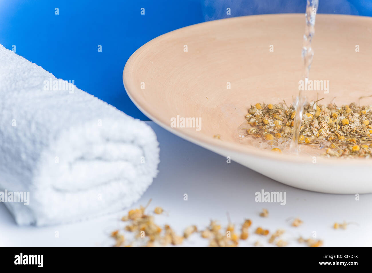 Woman plant infusion hi-res stock photography and images - Alamy