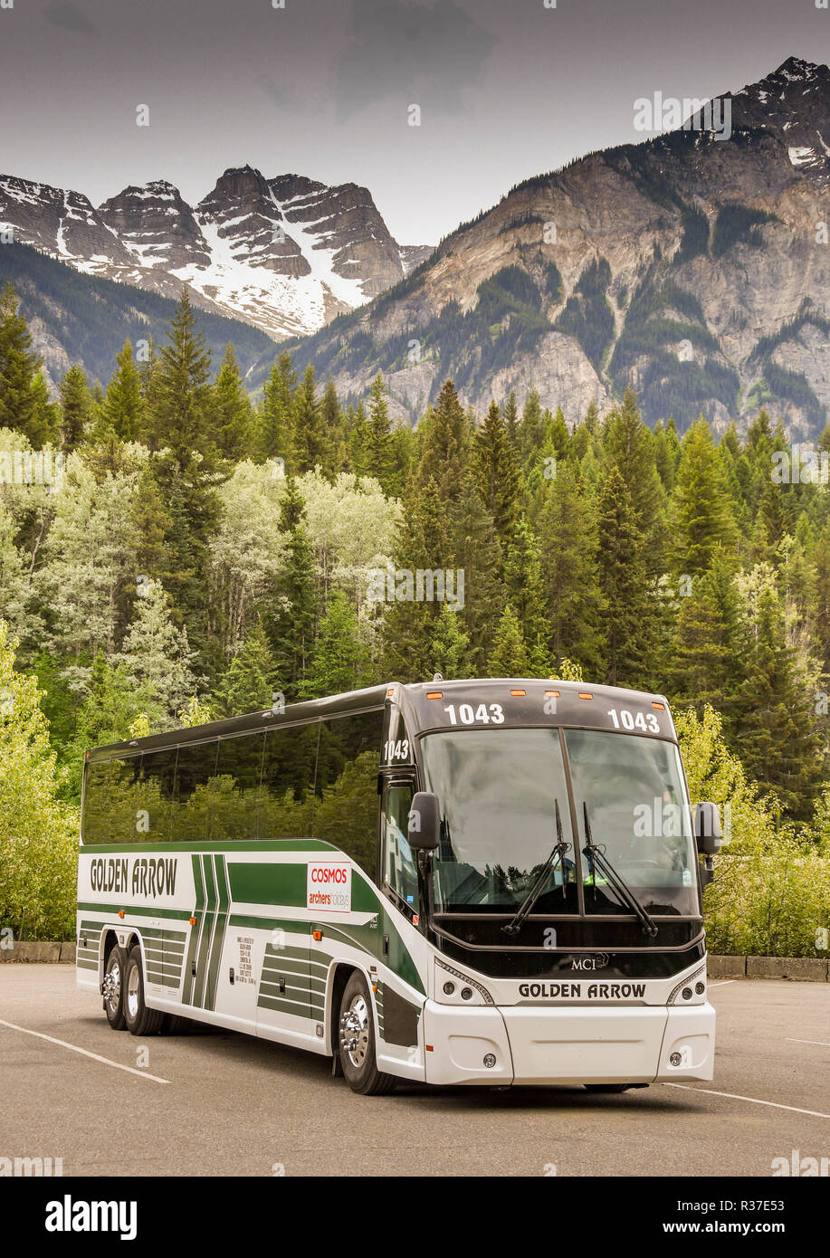Canadian bus stop sign hi-res stock photography and images - Alamy
