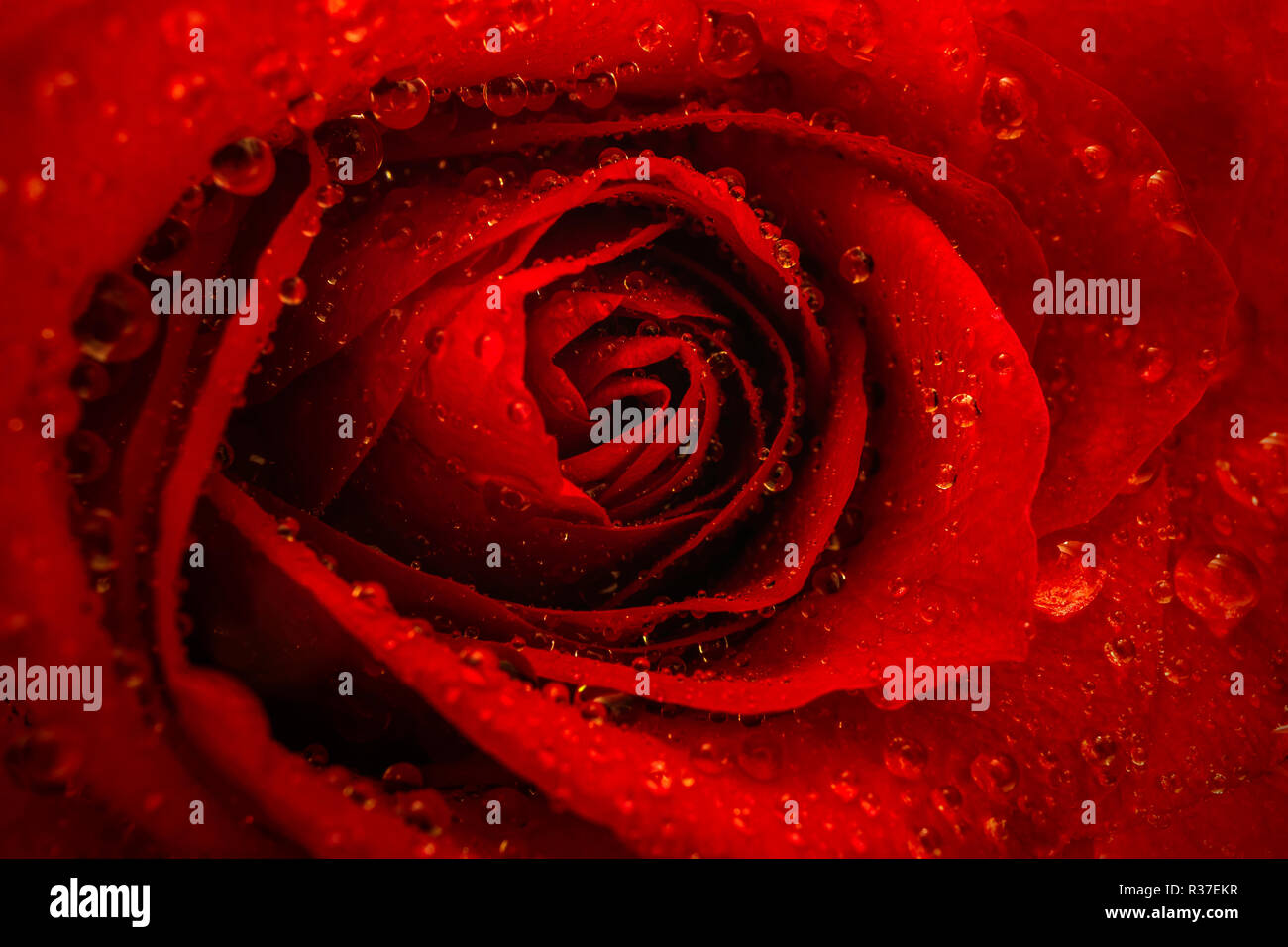 Retro effect fresh red hi-res stock photography and images - Alamy