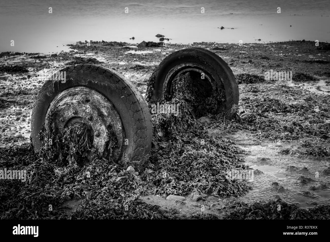 Abandoned rusty trailer wheels in mud in bay Stock Photo - Alamy