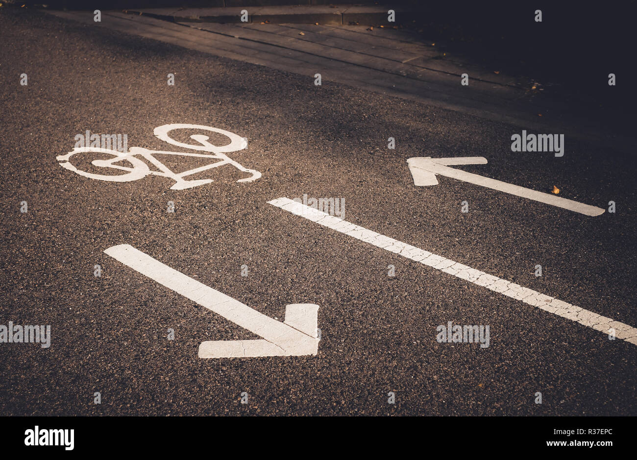 Bicycle sign and arrows on the road. White painted bike on asphalt ...