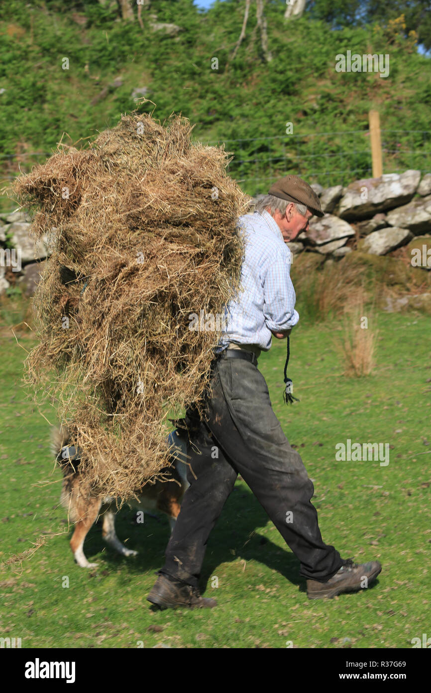 Old Irish Farmer High Resolution Stock Photography and Images - Alamy