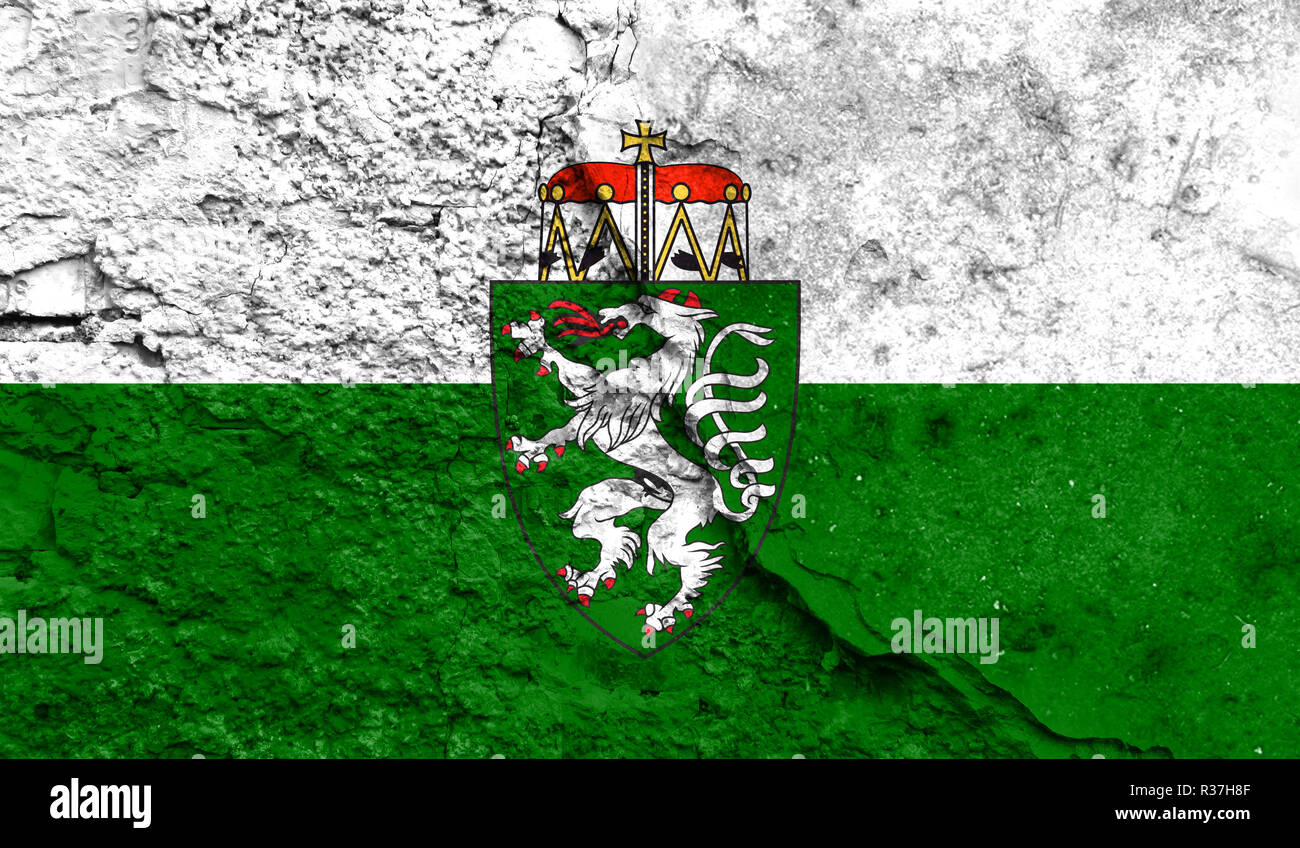 Flag of Styria close up painted on a cracked wall, concept of armed ...