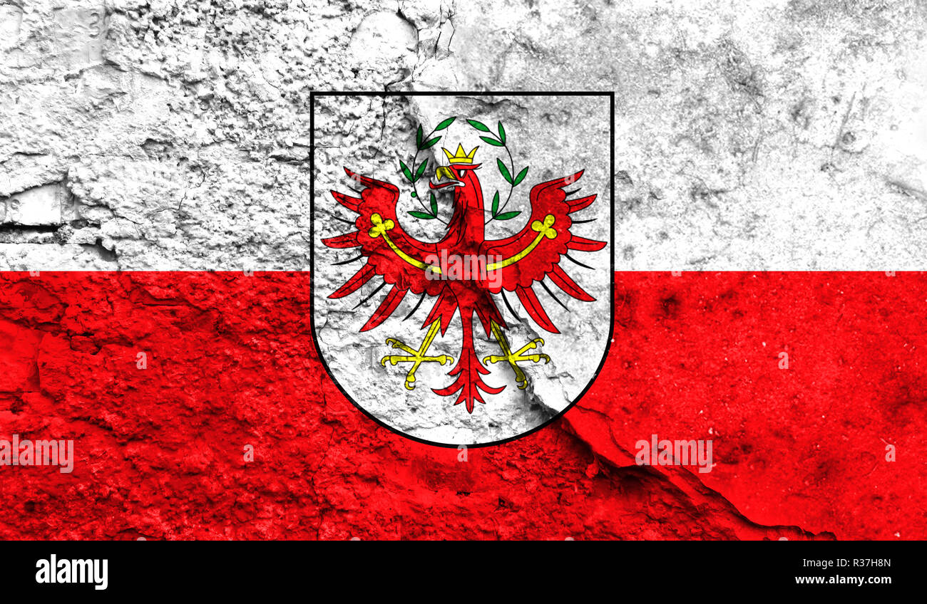 Flag of Tyrol Tirol close up painted on a cracked wall, concept of ...