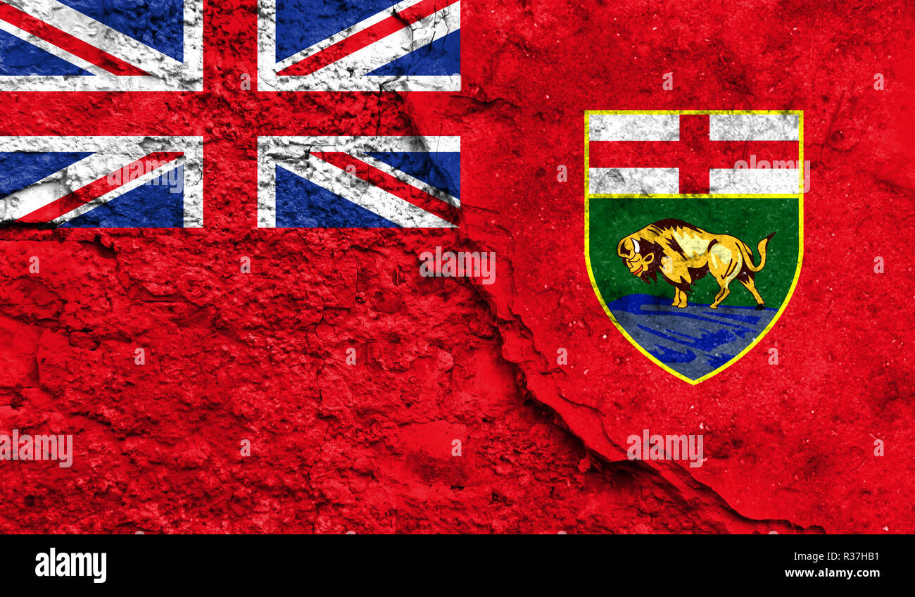 Flag of Manitoba close up painted on a cracked wall, concept of armed ...