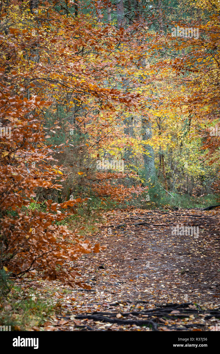 Torbreck hi-res stock photography and images - Alamy