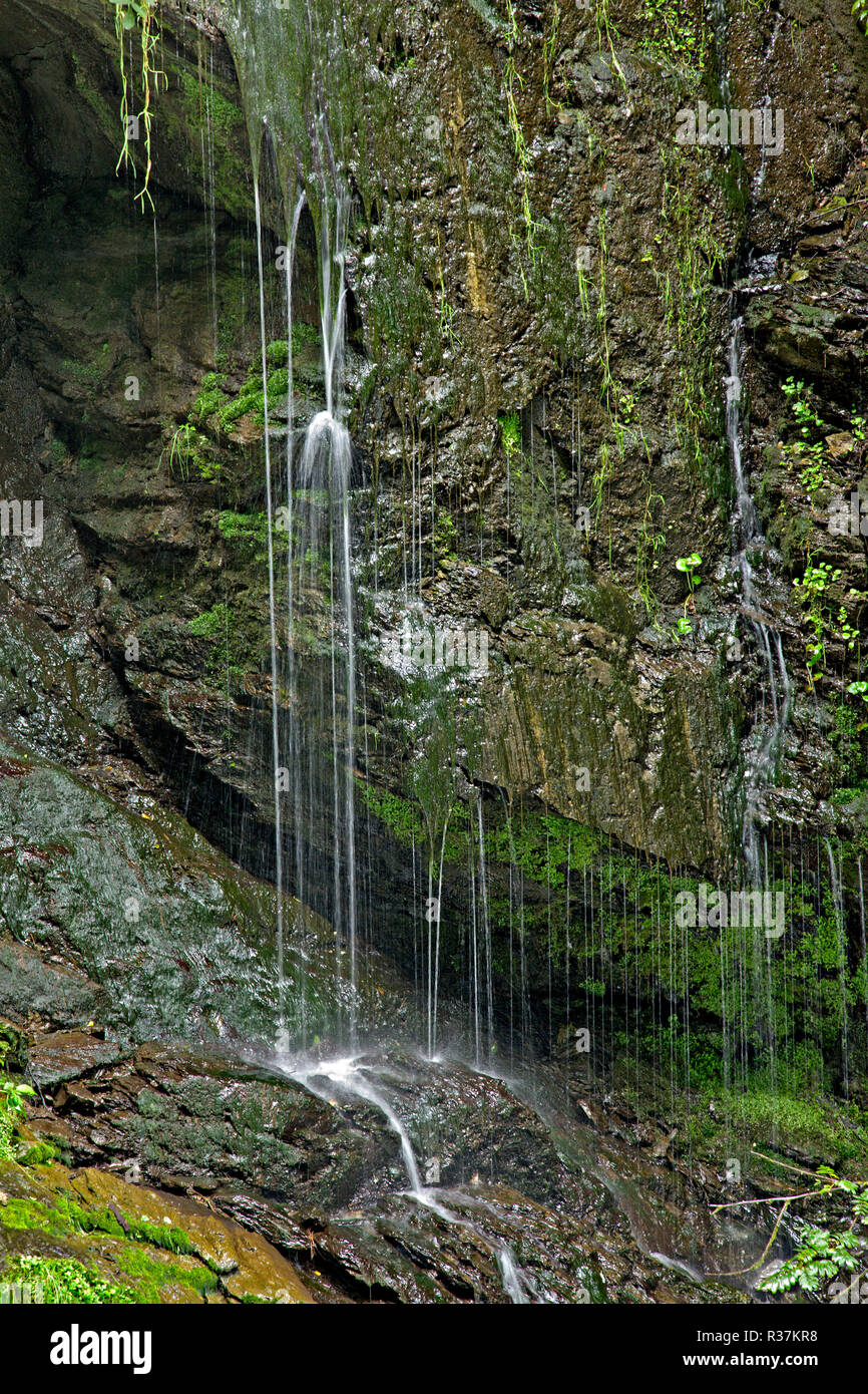 Water running off a rock face on the Wilde Wasser river near Schladming ...