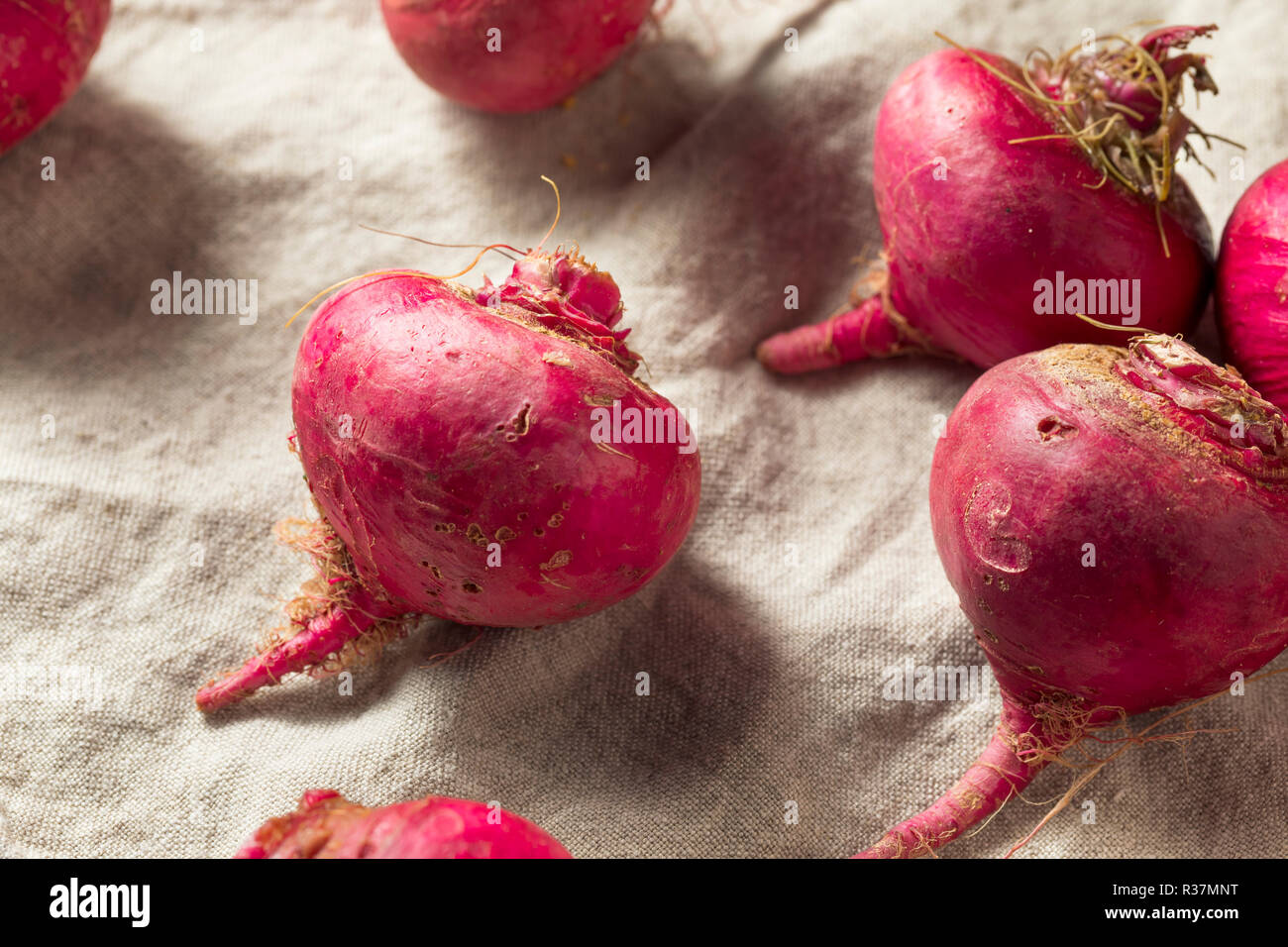 Pink and Red Beet Roots Ready to Cook Stock Photo - Alamy