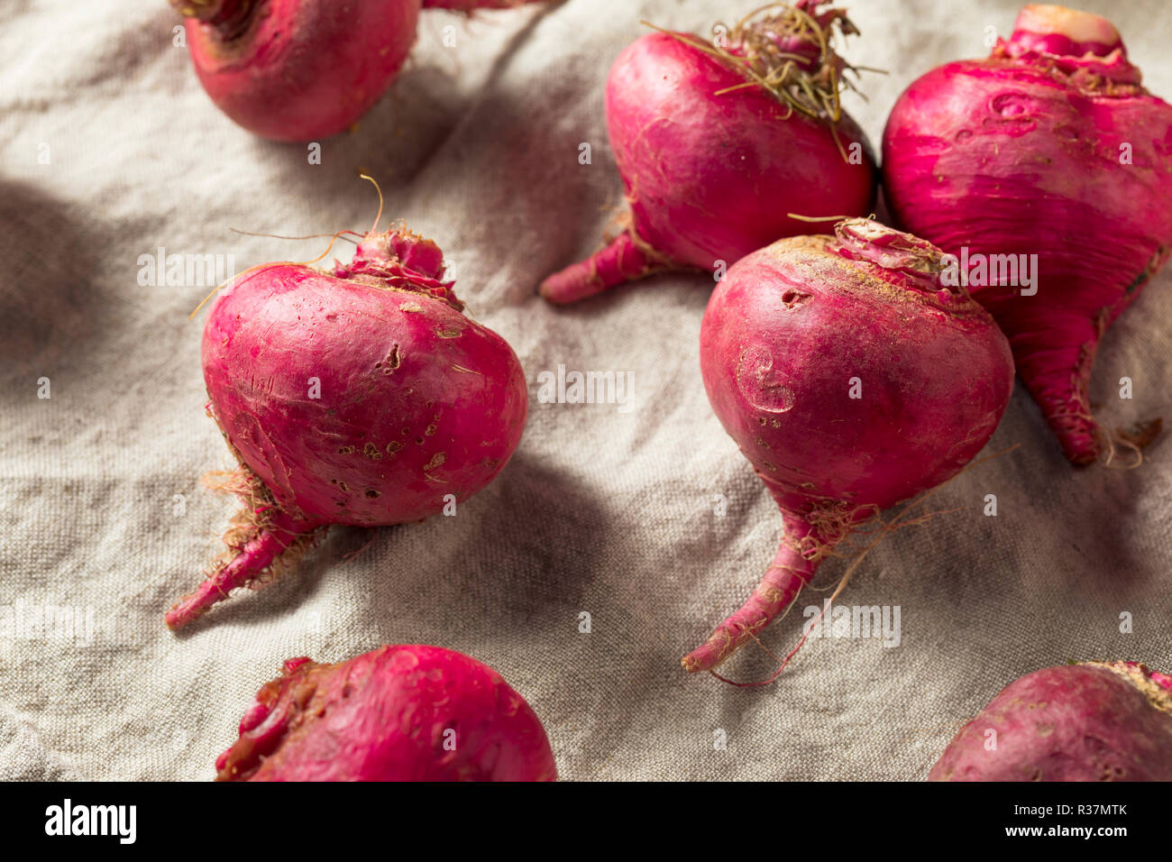Pink and Red Beet Roots Ready to Cook Stock Photo - Alamy
