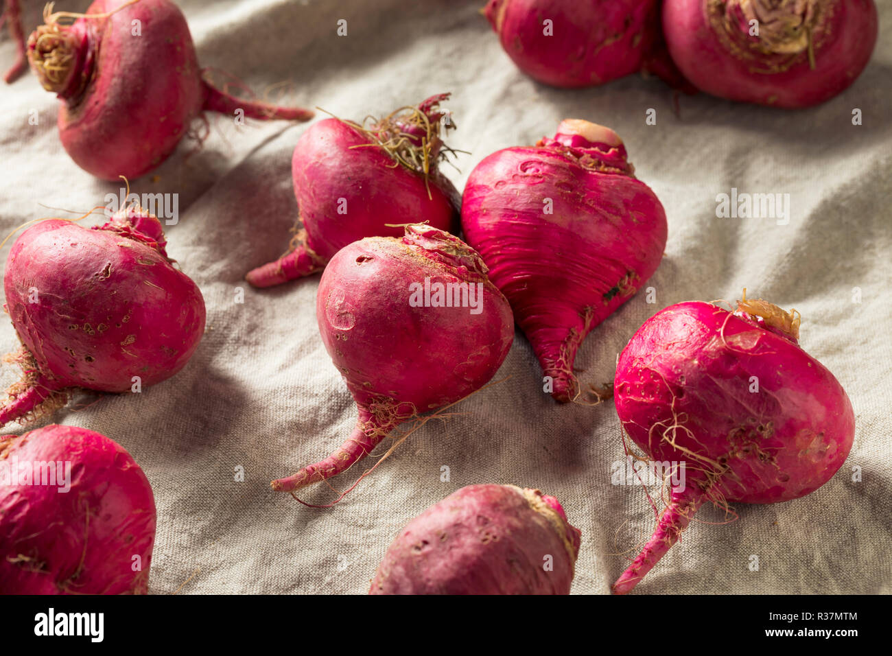 Pink and Red Beet Roots Ready to Cook Stock Photo - Alamy