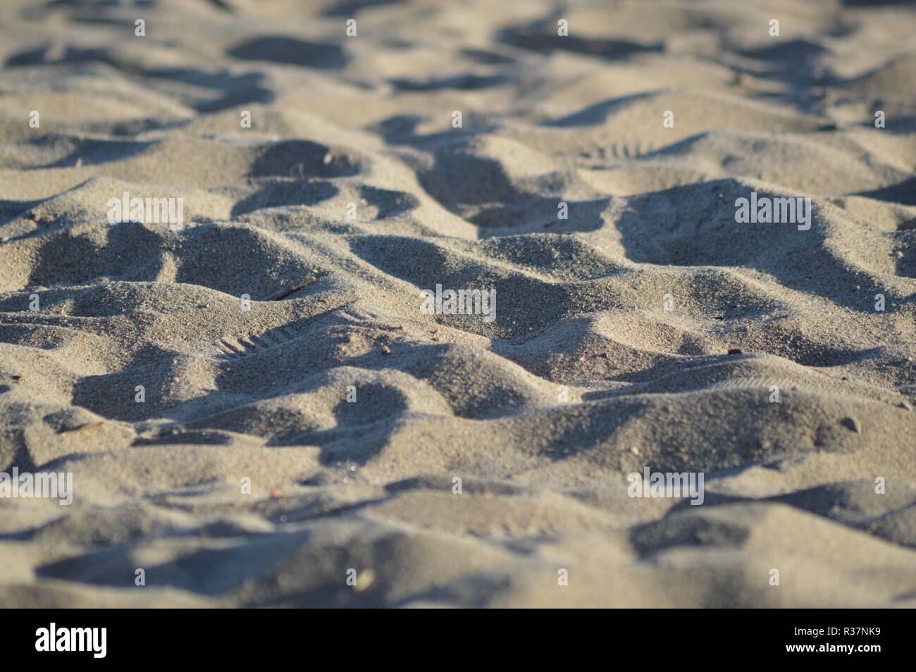 Zoom on the beach hi-res stock photography and images - Alamy