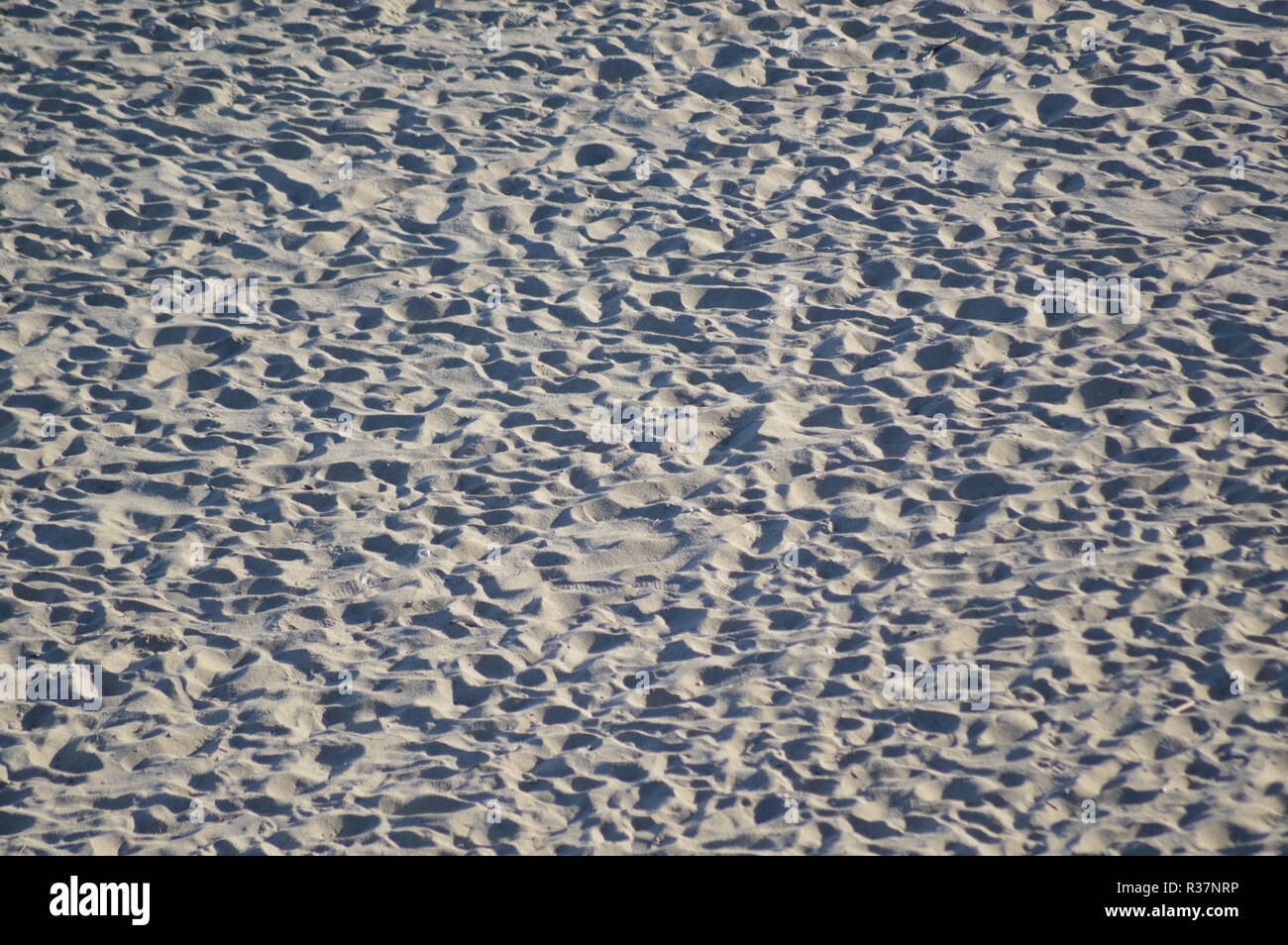 Zoom on the beach hi-res stock photography and images - Alamy