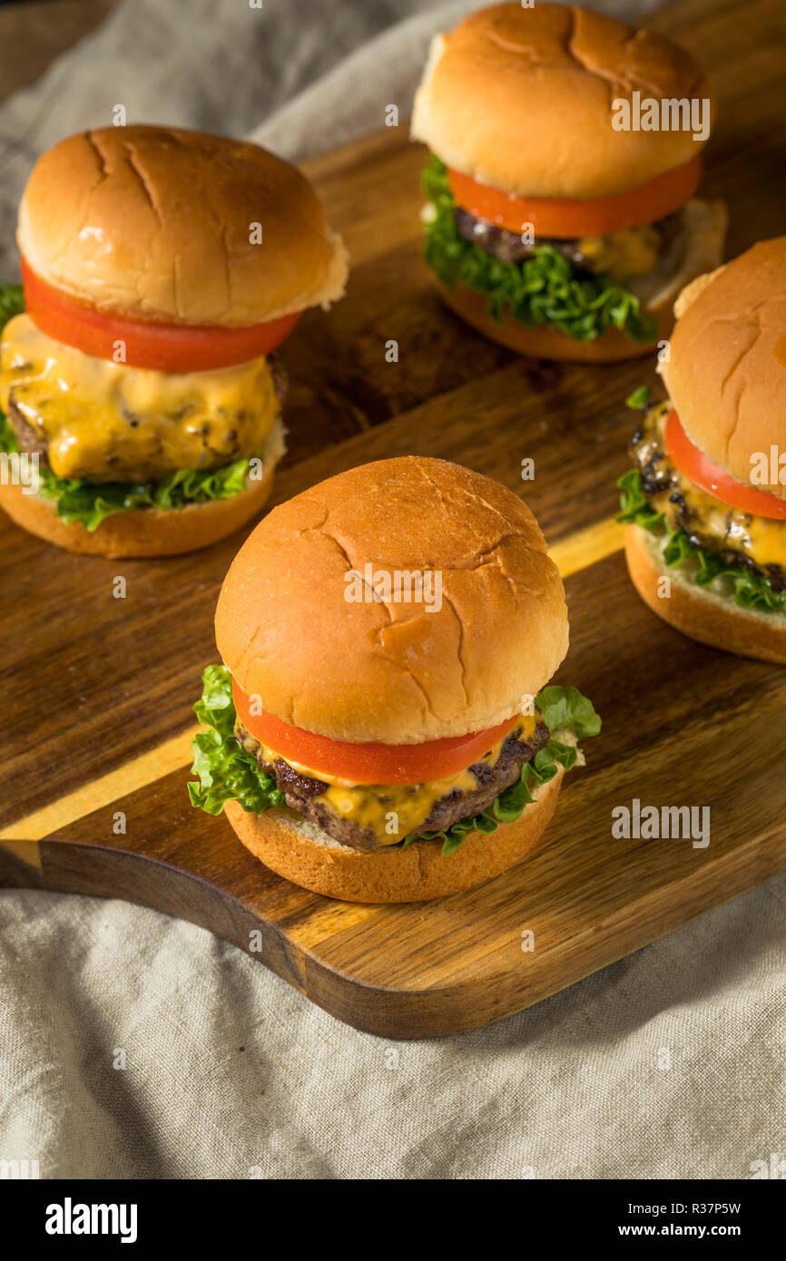 Cheeseburger cheeseburgers burger burgers hi-res stock photography and ...