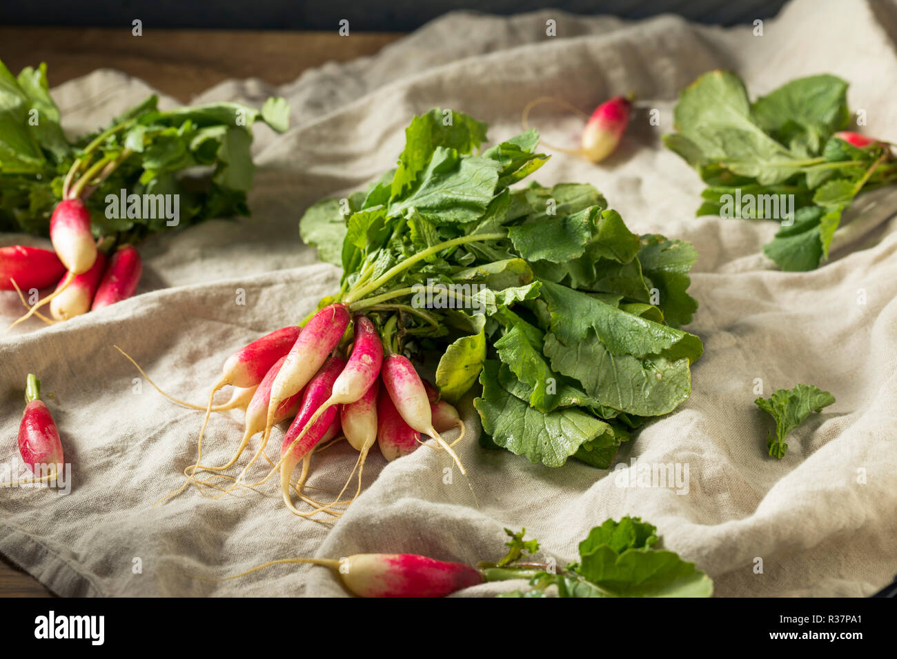 Raw Organic Long Breakfast Radishes in a Bunch Stock Photo - Alamy