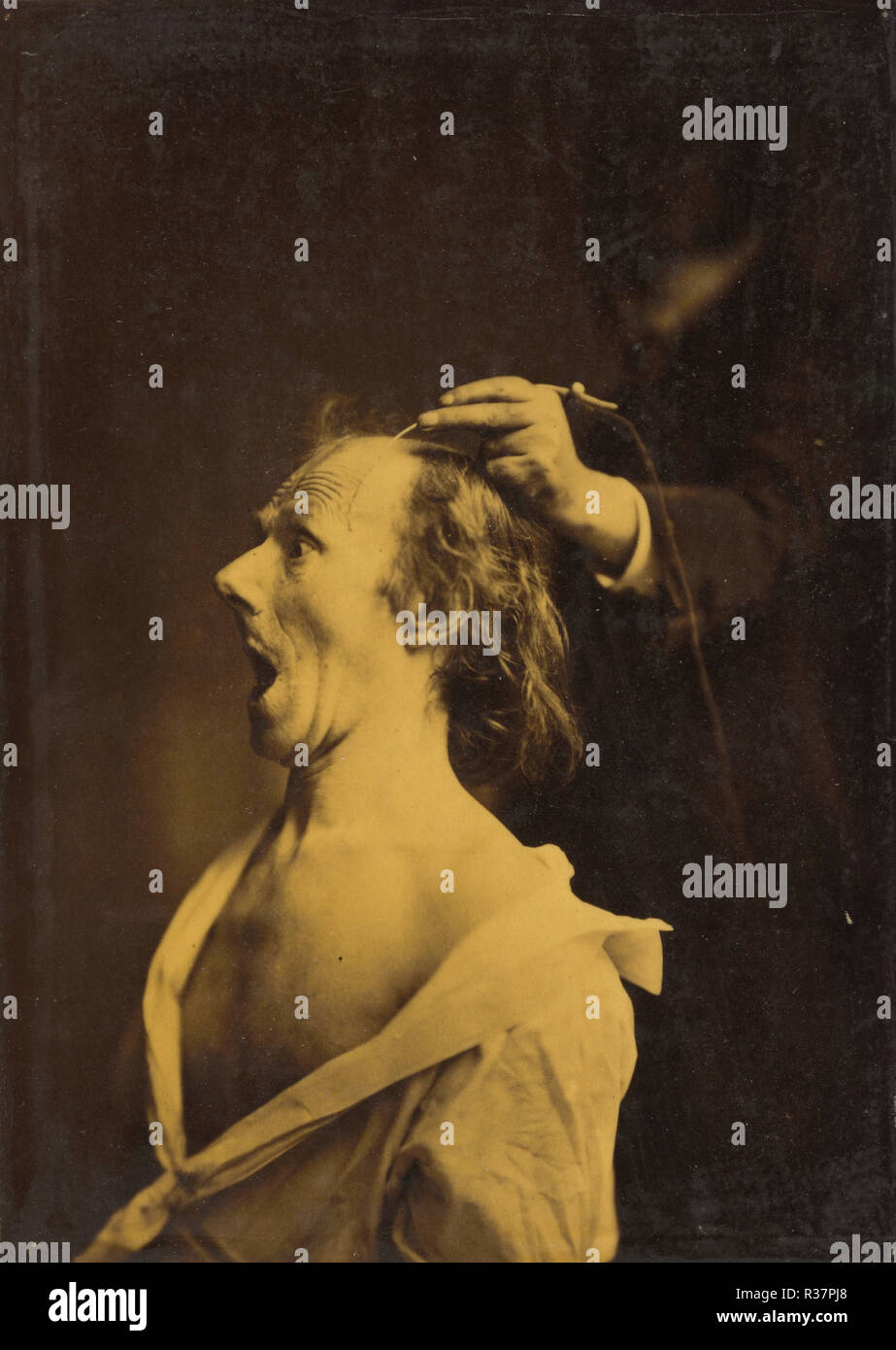 The mechanism of human facial expression hi-res stock photography and ...