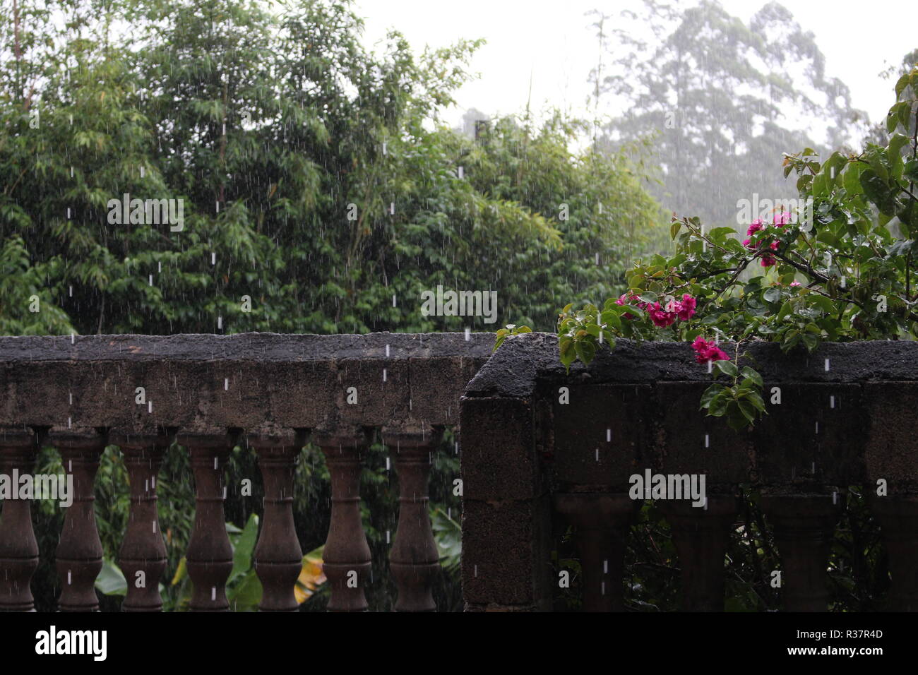 Rain porch hi-res stock photography and images - Alamy