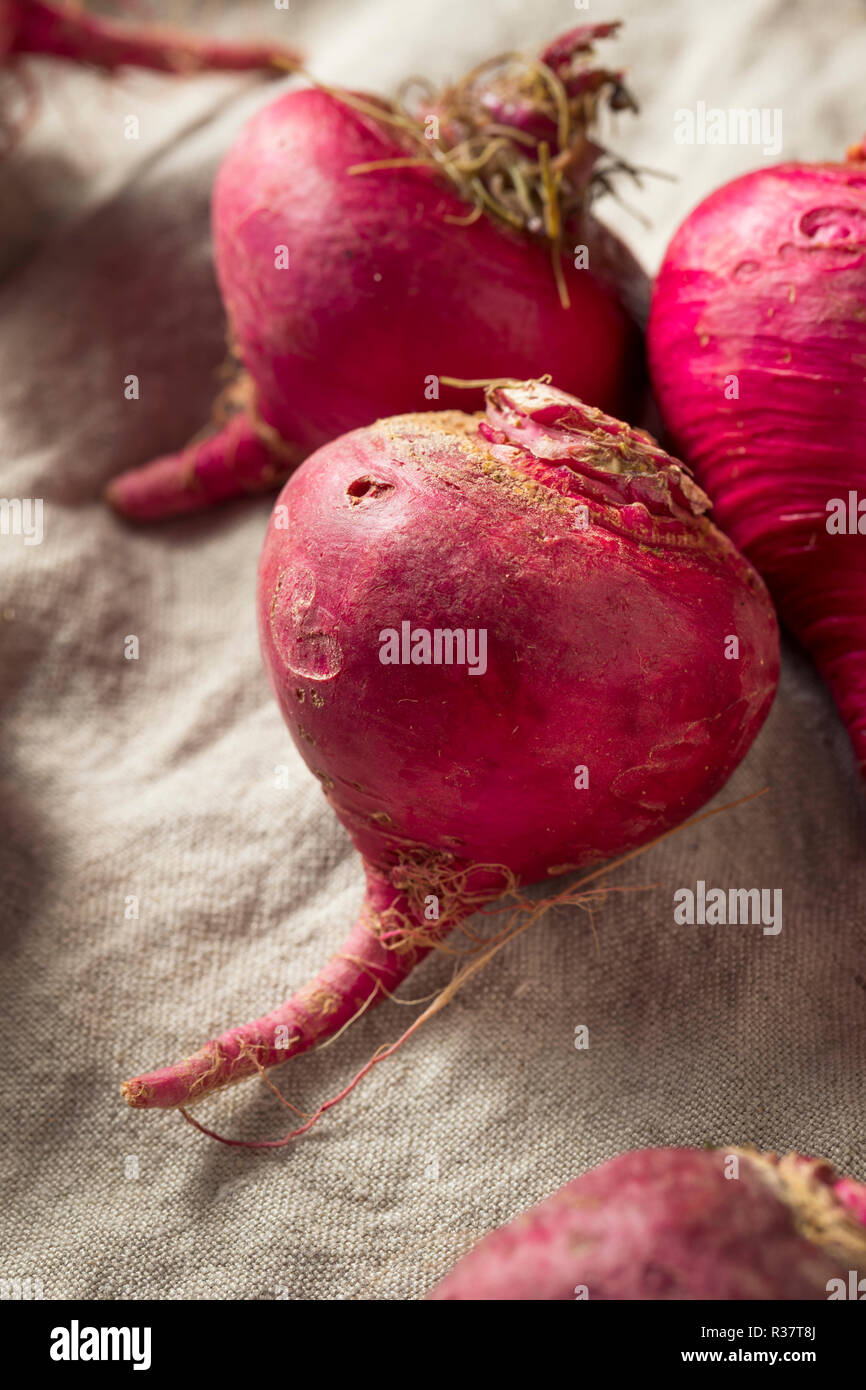Pink and Red Beet Roots Ready to Cook Stock Photo - Alamy