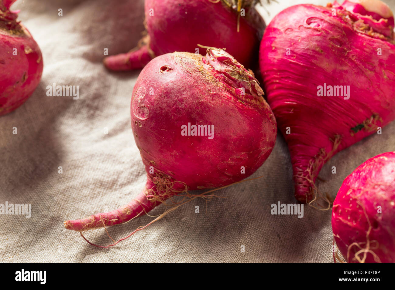 Pink and Red Beet Roots Ready to Cook Stock Photo - Alamy