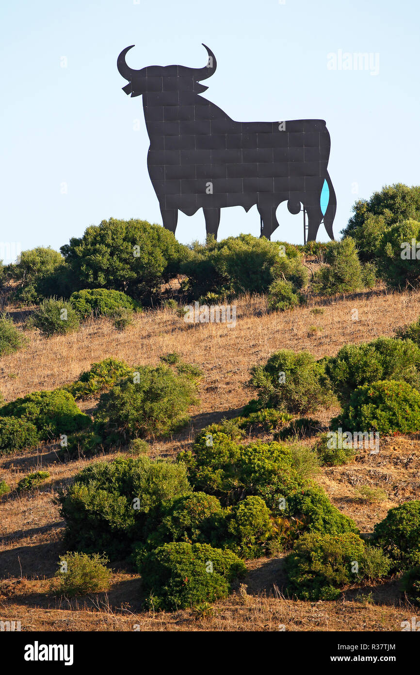 Black silhouette of a bull, bull figure Osborne bull, today national ...