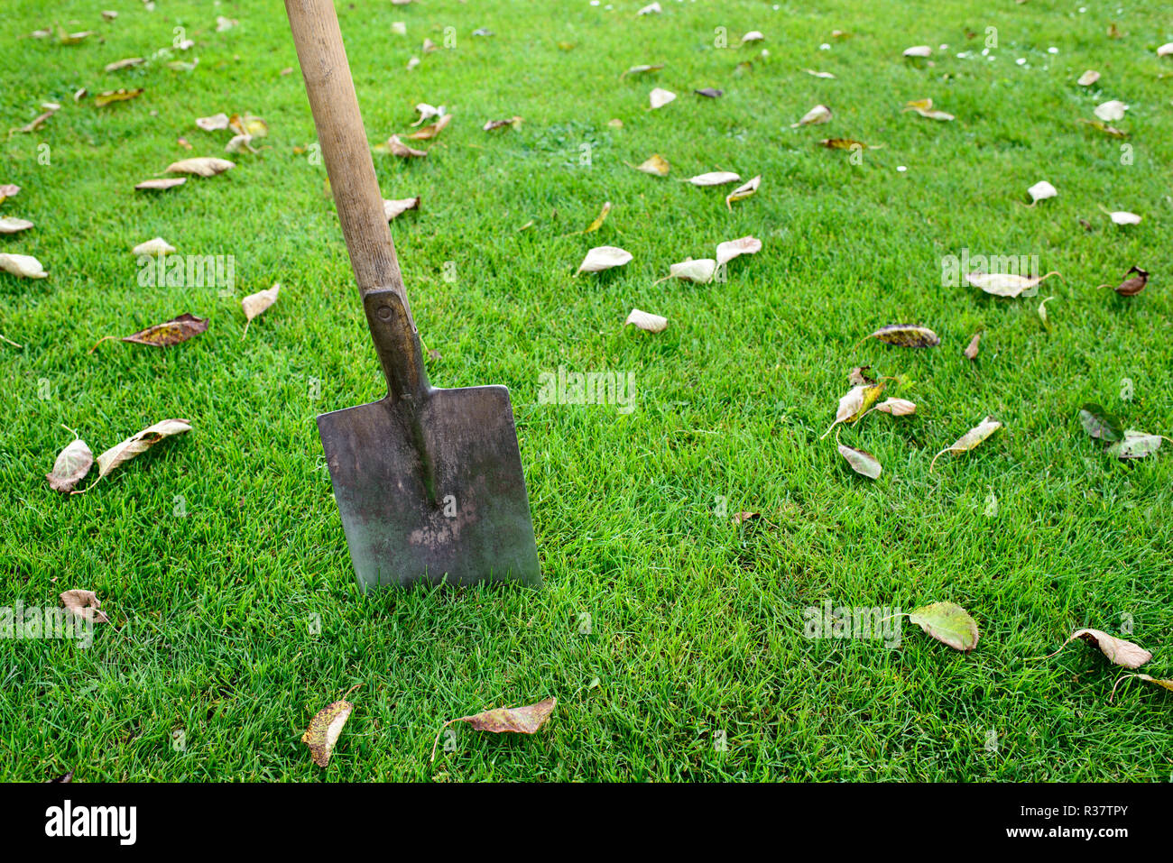 dig a hole Stock Photo - Alamy