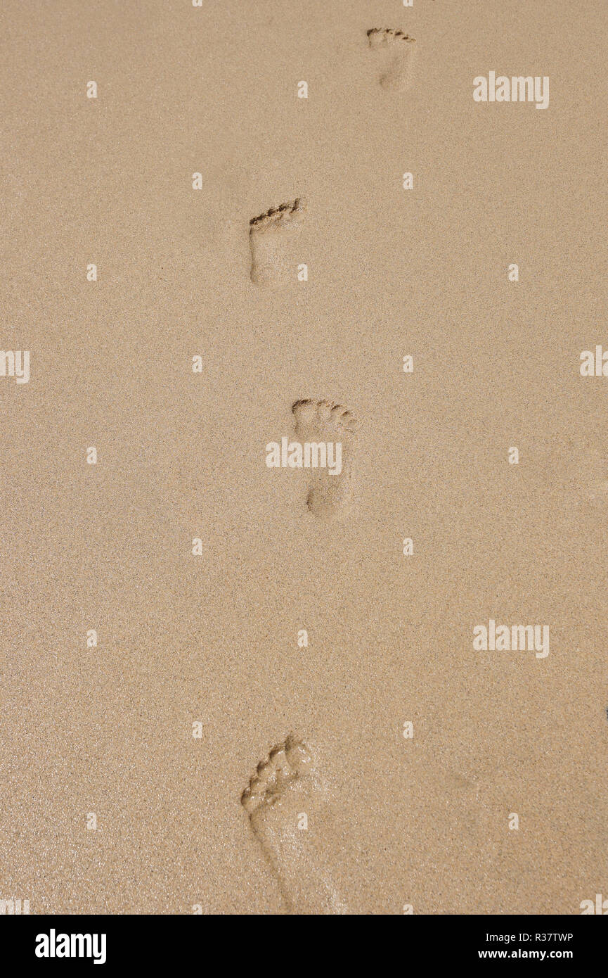 footsteps in the sand Stock Photo - Alamy