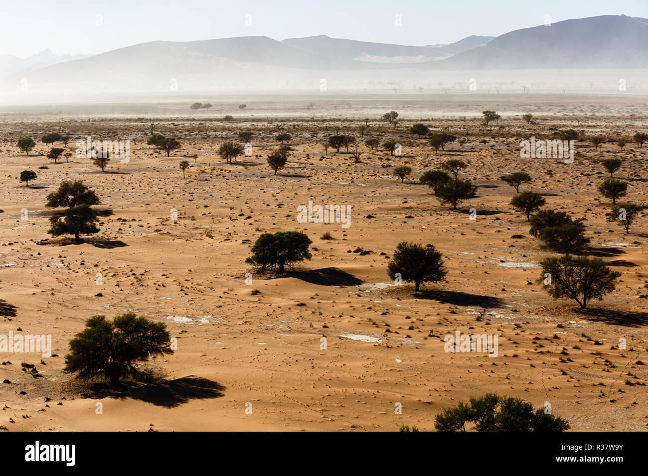 Aerial view, sandstorm in the Namib Desert, Sossusvlei National Park ...