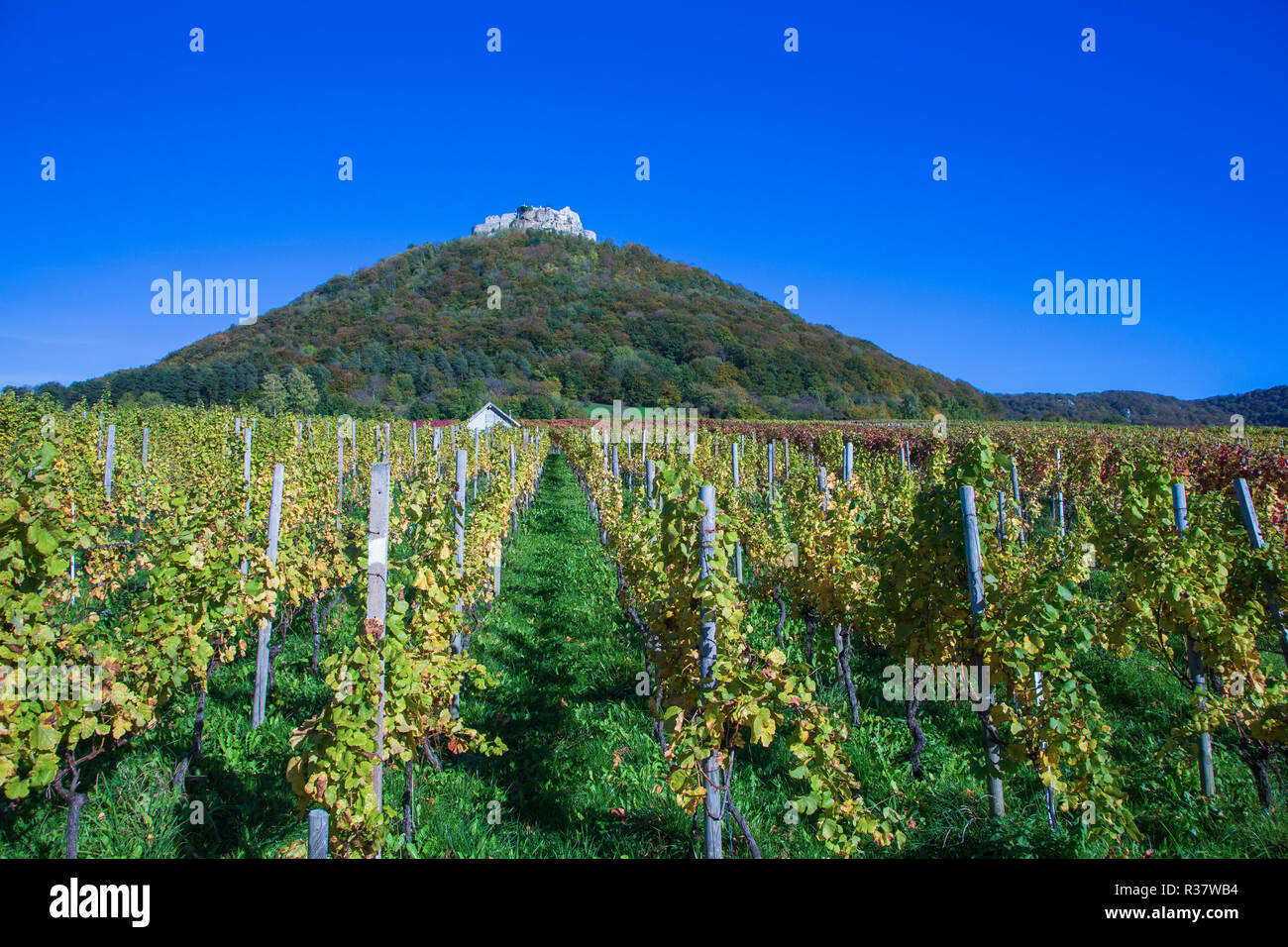 Burgruine hohenneuffen hi-res stock photography and images - Alamy
