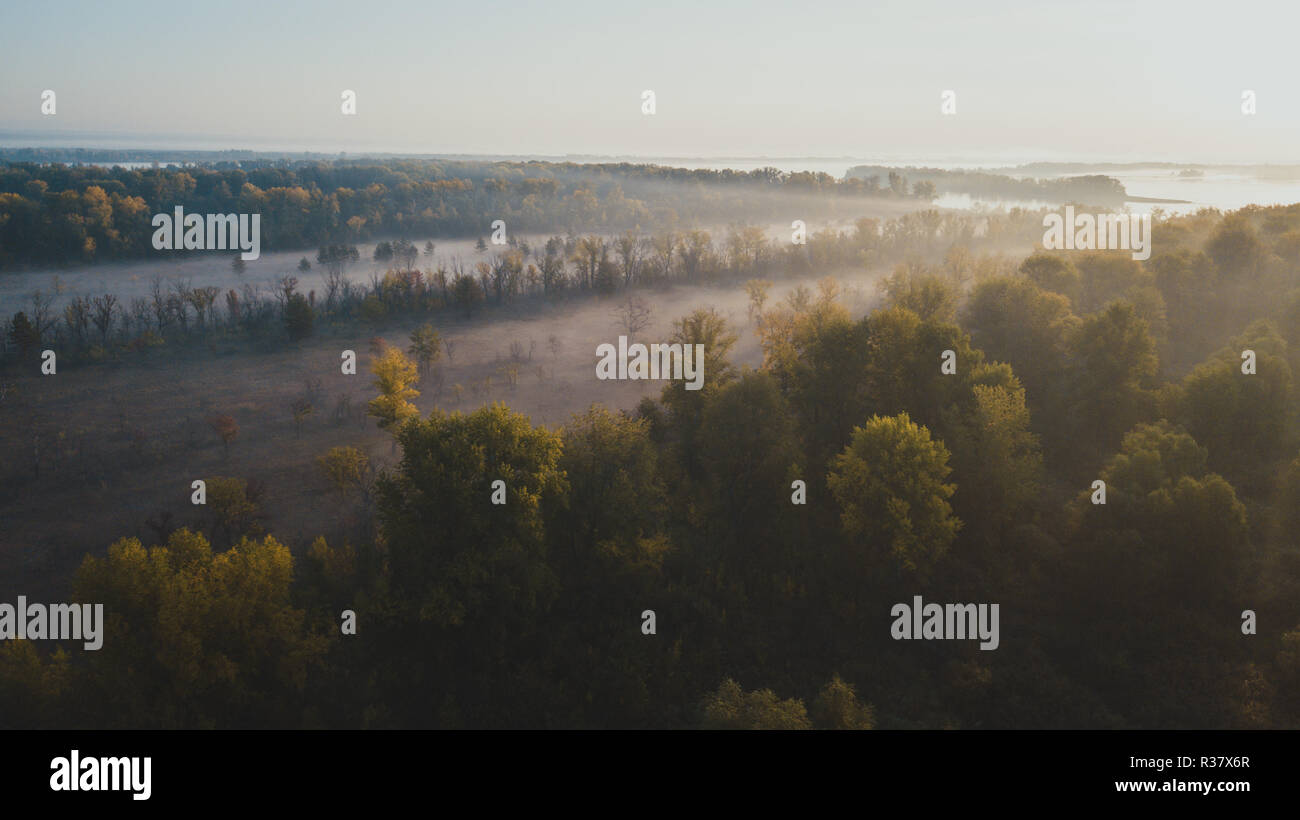 River morning and forest Stock Photo - Alamy