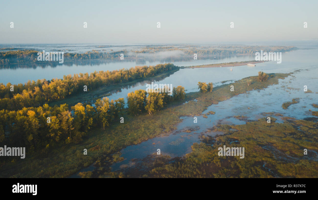 River morning and forest Stock Photo - Alamy