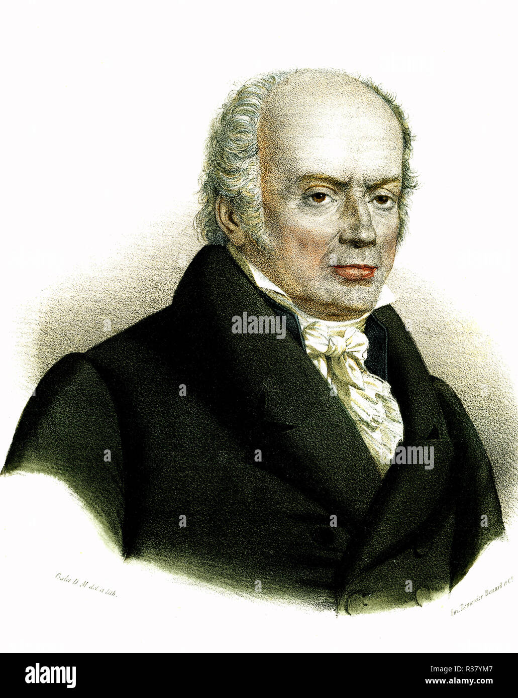 Phrenology head drawing hi-res stock photography and images - Alamy