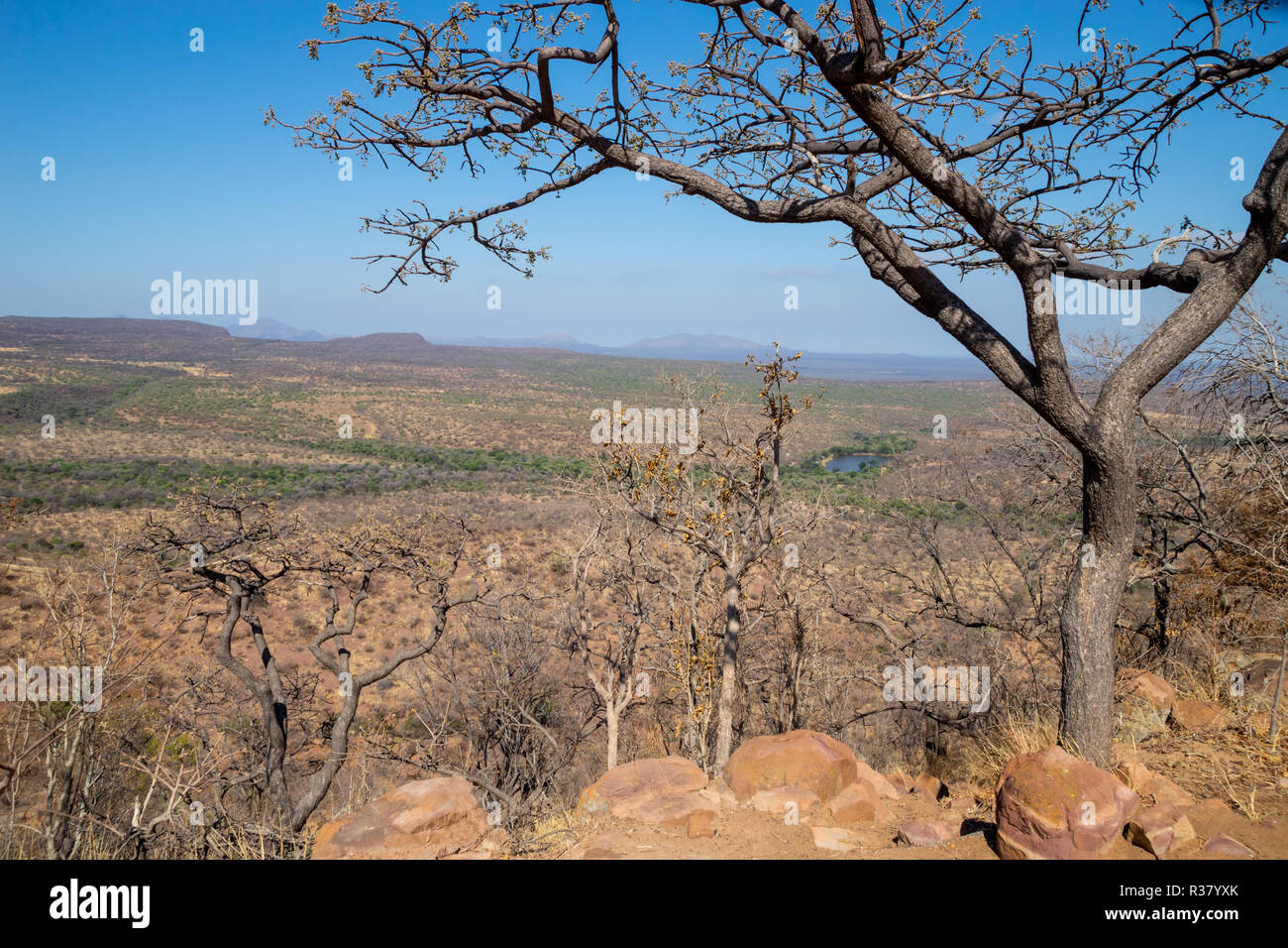 Landscape fron the North of South Africa Stock Photo - Alamy