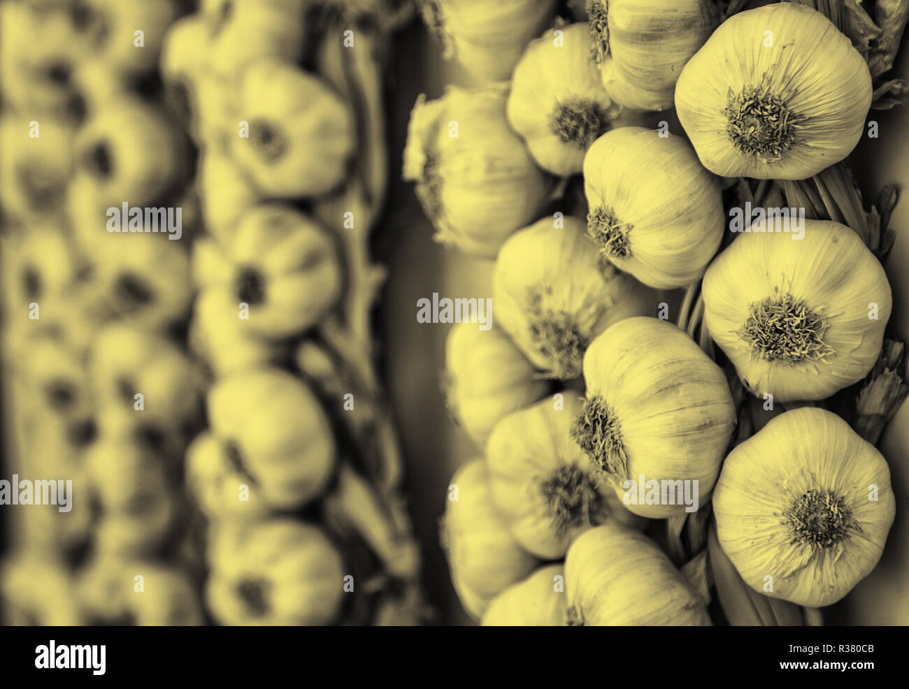 Tooth garlic hi-res stock photography and images - Alamy